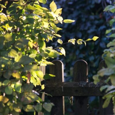 S48 Notice – What Does It Mean? | Blackstone Solicitors